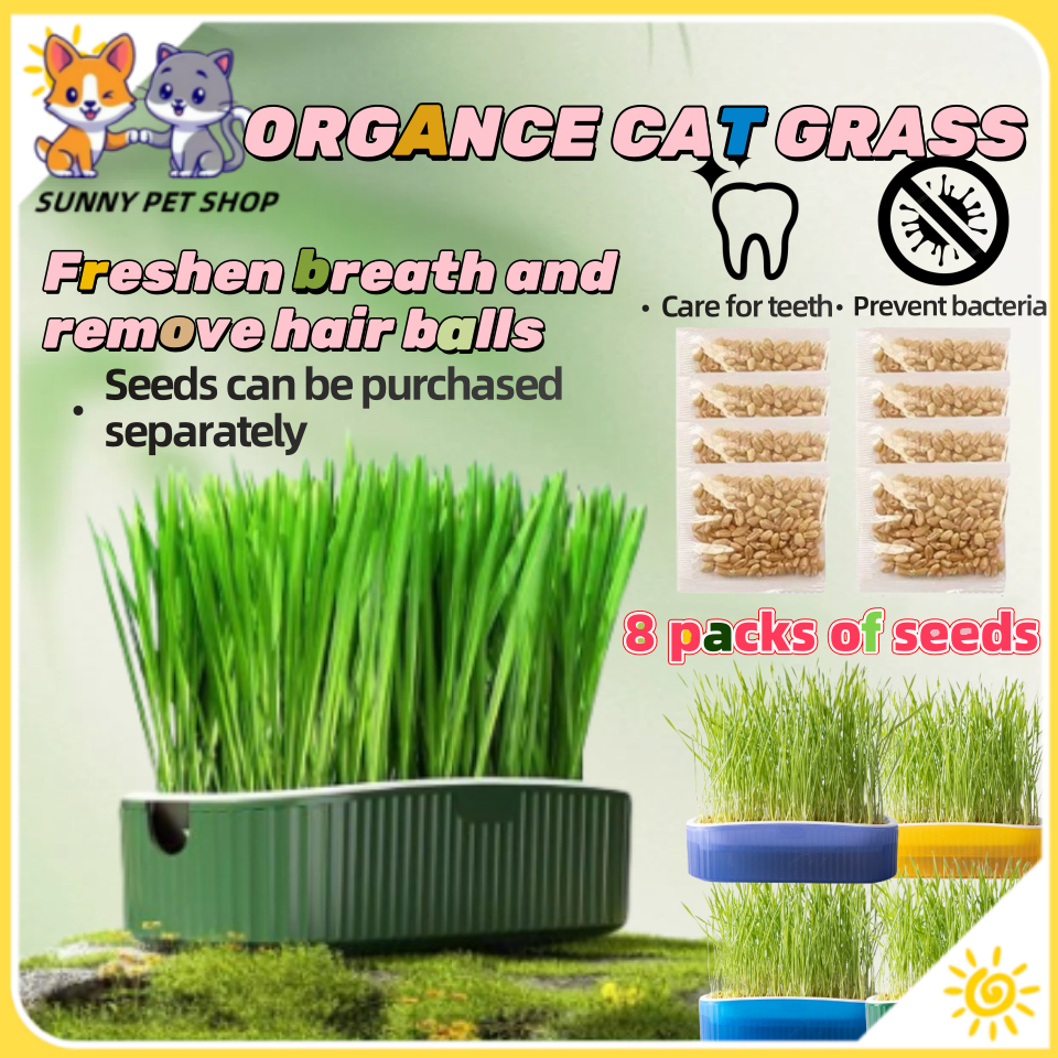 Cat Treats Cat Grass Organic Cat Seeds Send 8 Packs Organic Soilless ...