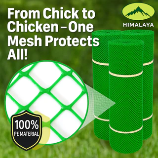 Shop chicken coop for Sale on Shopee Philippines