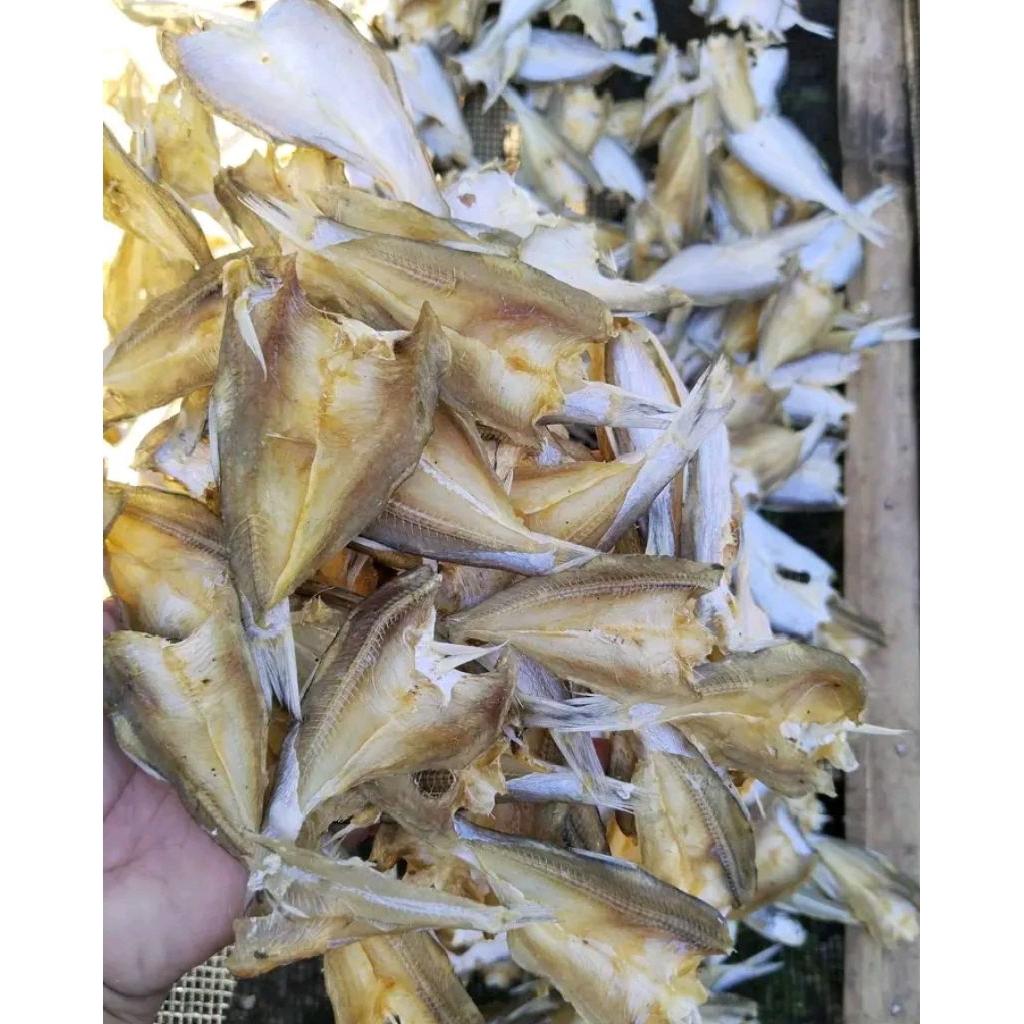 Unsalted Boneless Daing Tigue from Bicol 100g | 250g | Resealable Pouch ...