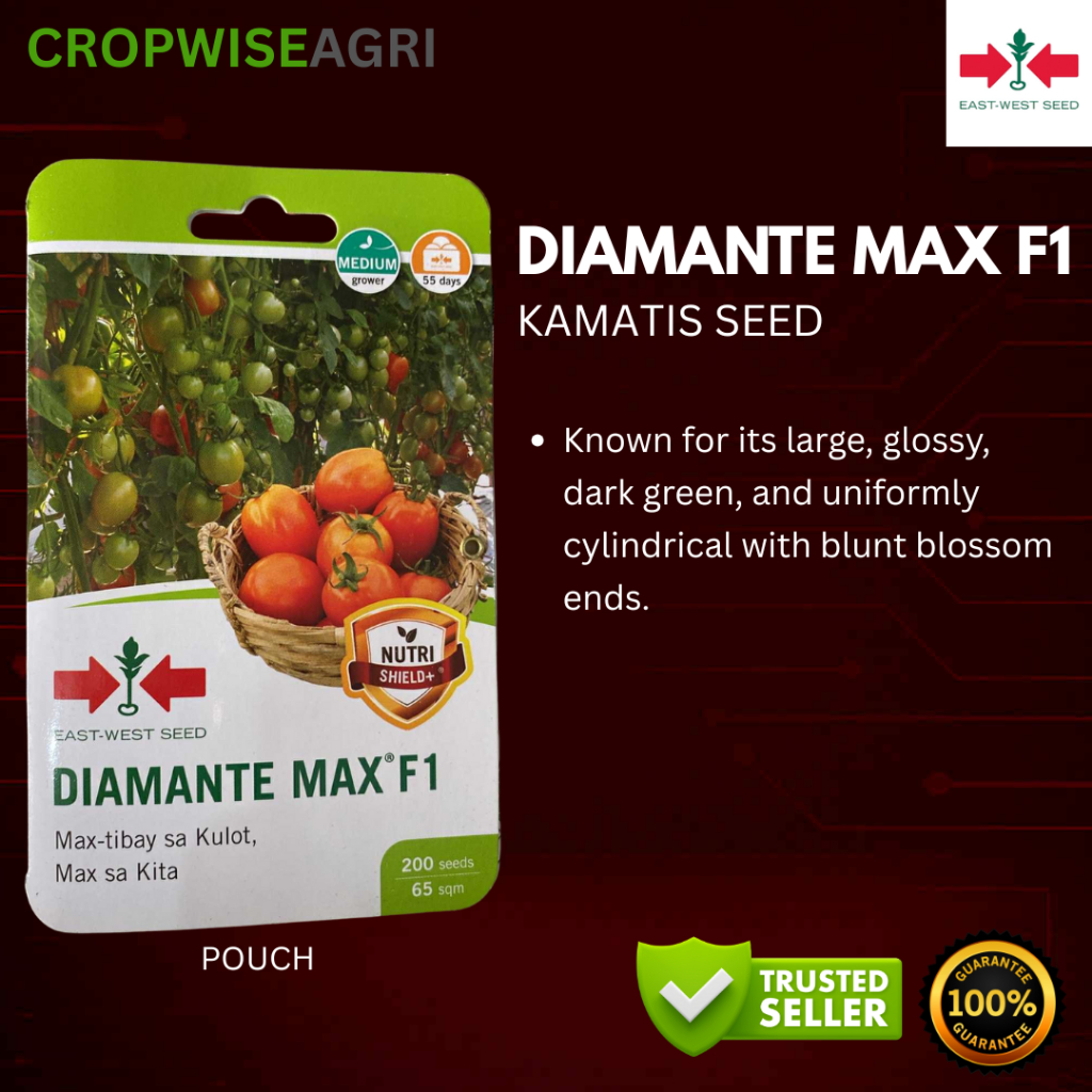 East West Diamante Max F1 Kamatis Pouch | Shopee Philippines