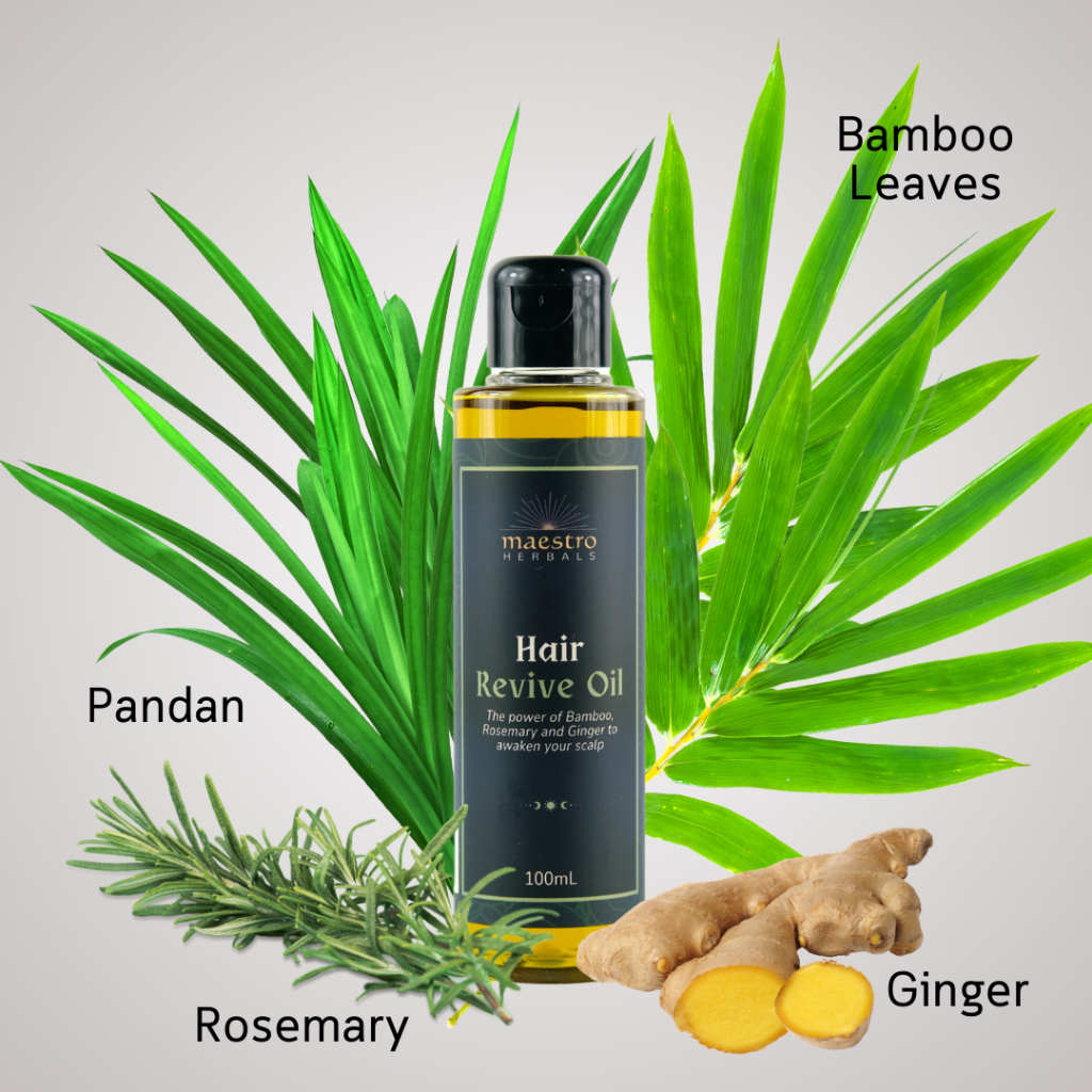 Maestro Herbals Hair Revive Oil with Rosemary, Bamboo and Ginger ...