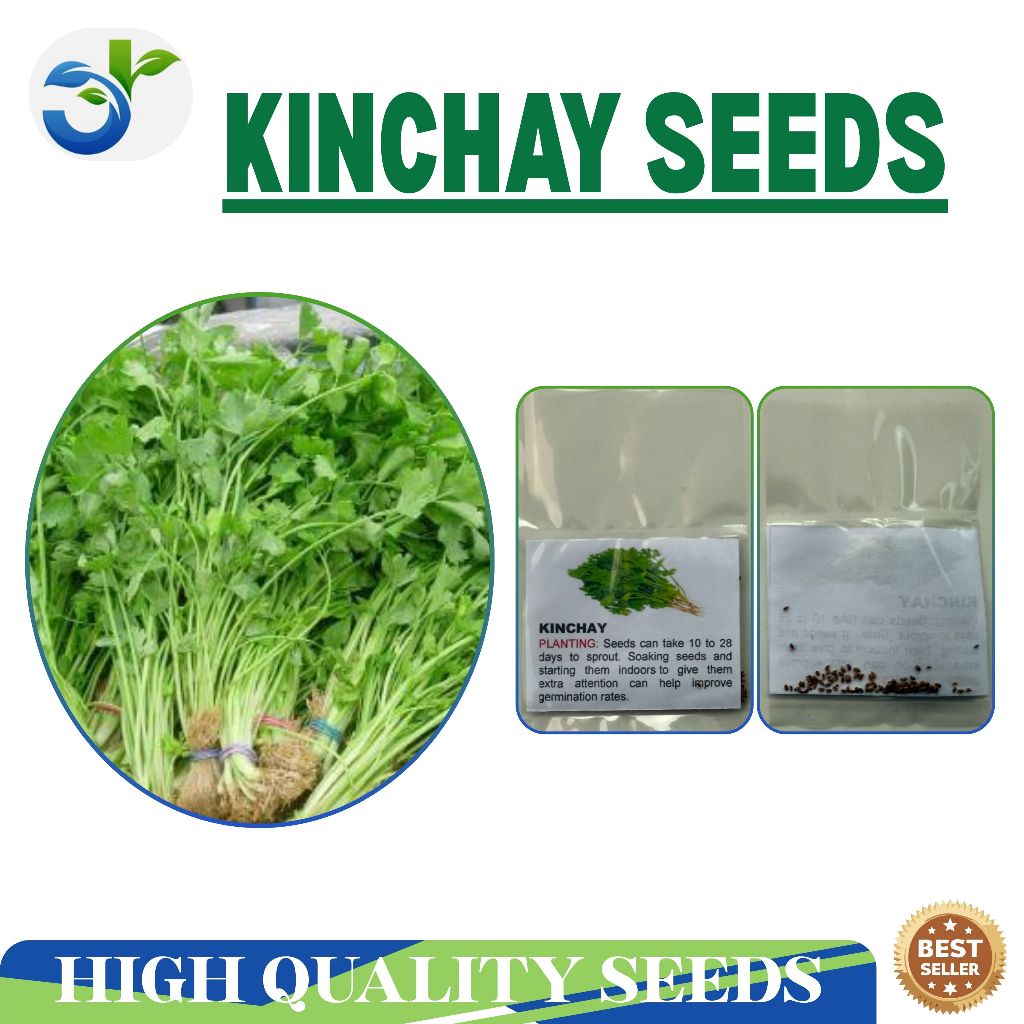 Kinchay Seeds / Herbs / 50seeds - (1pack) | Shopee Philippines