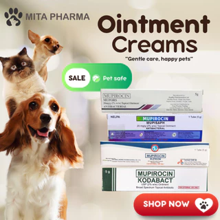 Shop mupirocin ointment for Sale on Shopee Philippines
