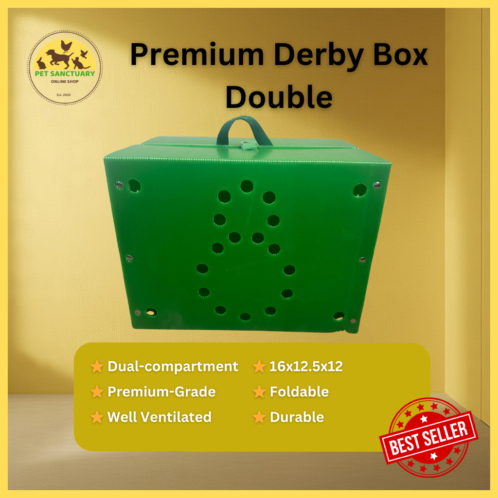 Double Derby Chicken box premium / Green and Red / Cock cage / kulungan ...