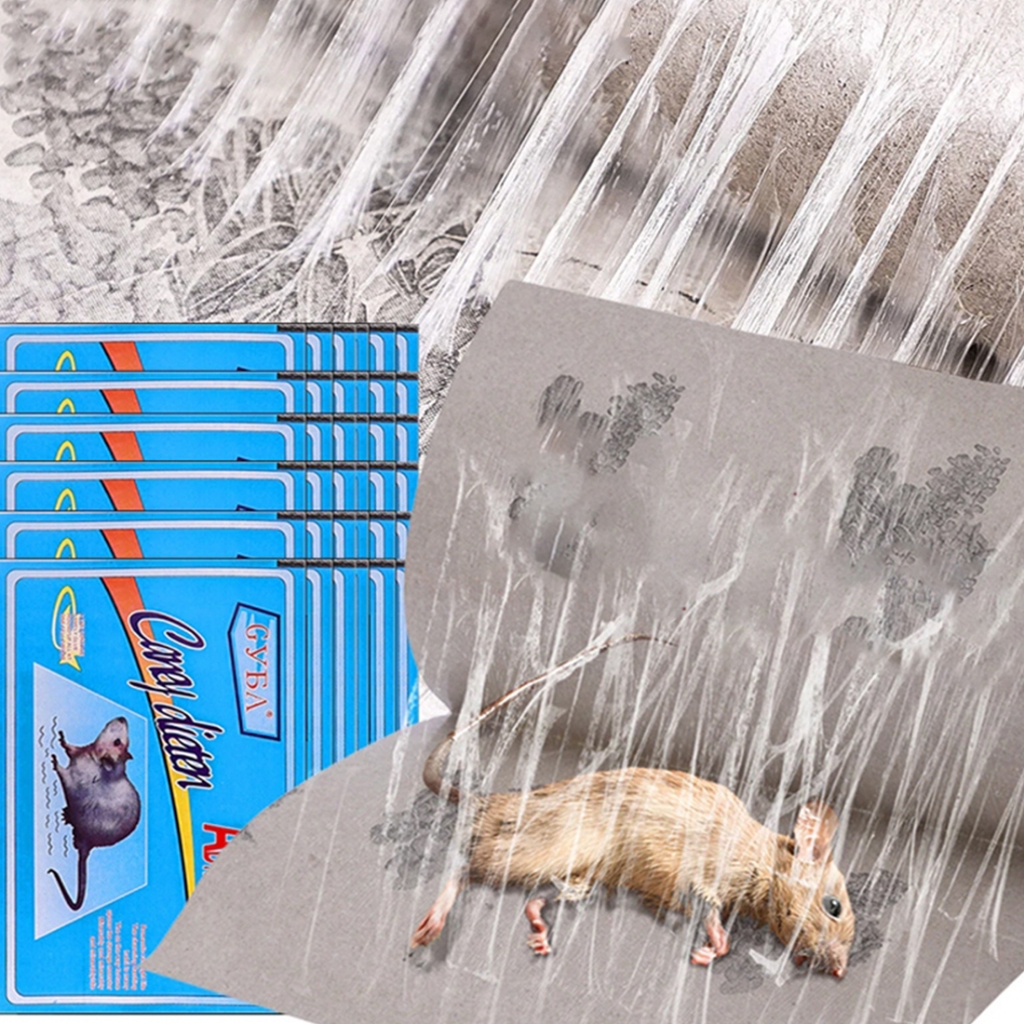 Mouse Can't Escape Mouse Trap Sticky Board Sticky Mouse Trap Sticky ...