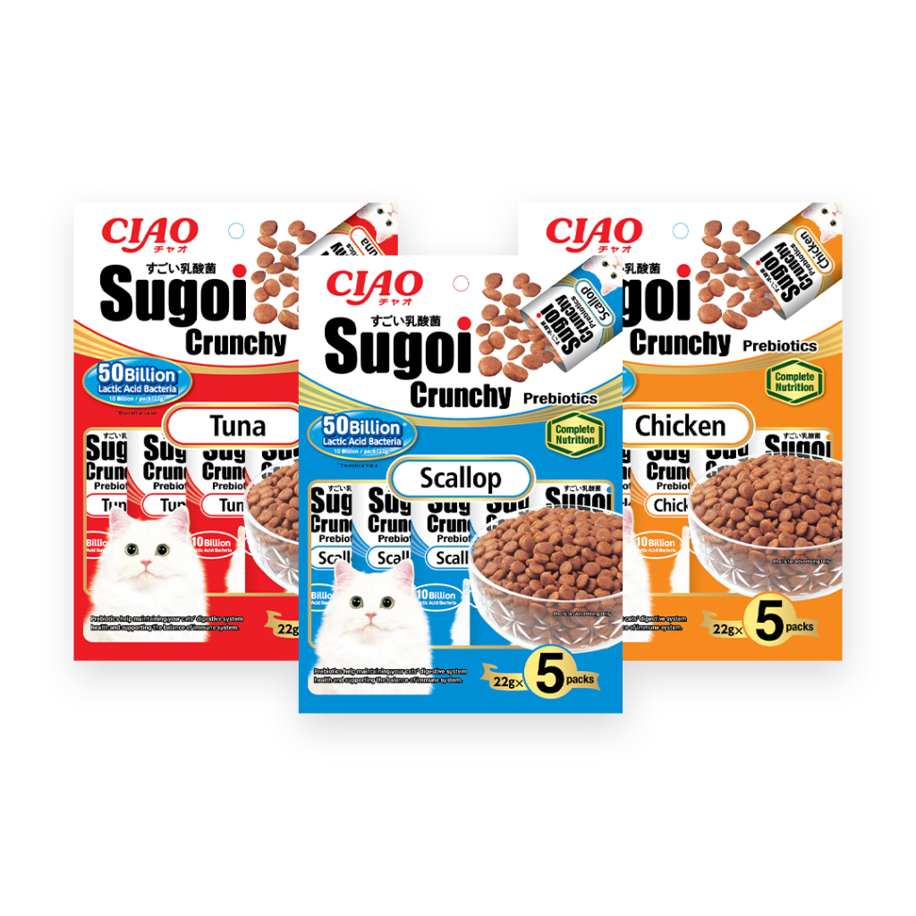 Ciao Sugoi Crunchy Plus Prebiotics Cat Dry Kibble 22g x 5 Sticks ...