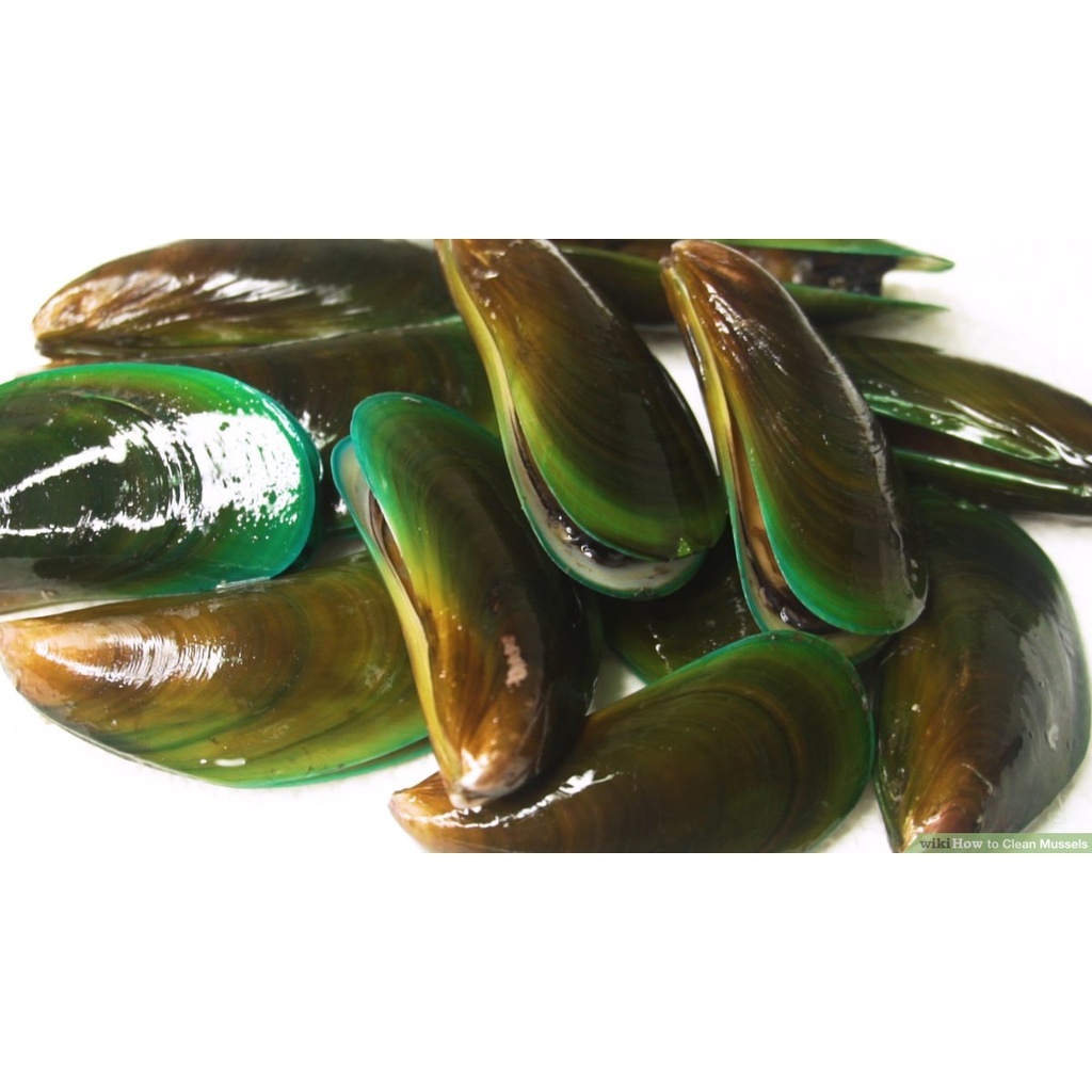 Fresh Tahong - 1kg (Delivery within Metro Manila and nearby areas only ...