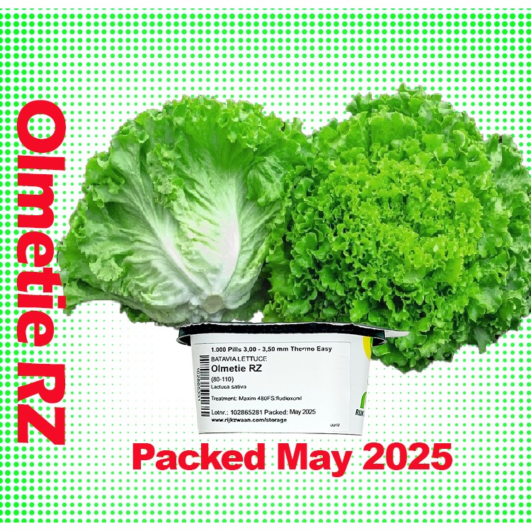 Olmetie seeds RZ 1000 pelletized seeds with FREE MAXIMUS SEEDS | Shopee ...