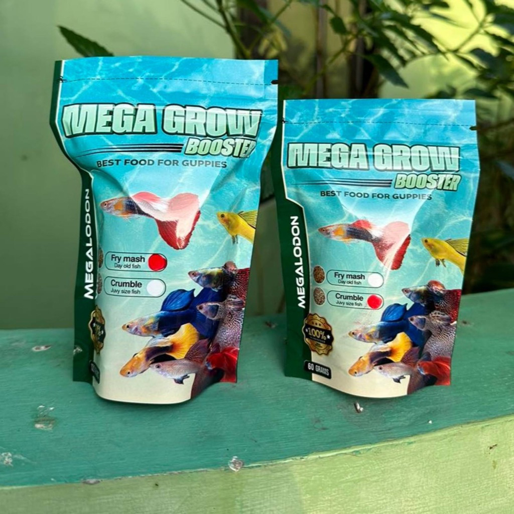 Mega Grow Booster (best food for guppies) fry mash & crumble size (10+1 ...