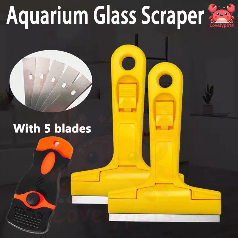 Aquarium Glass Scraper Mini Algae Scrapper with Replacement Metal ...