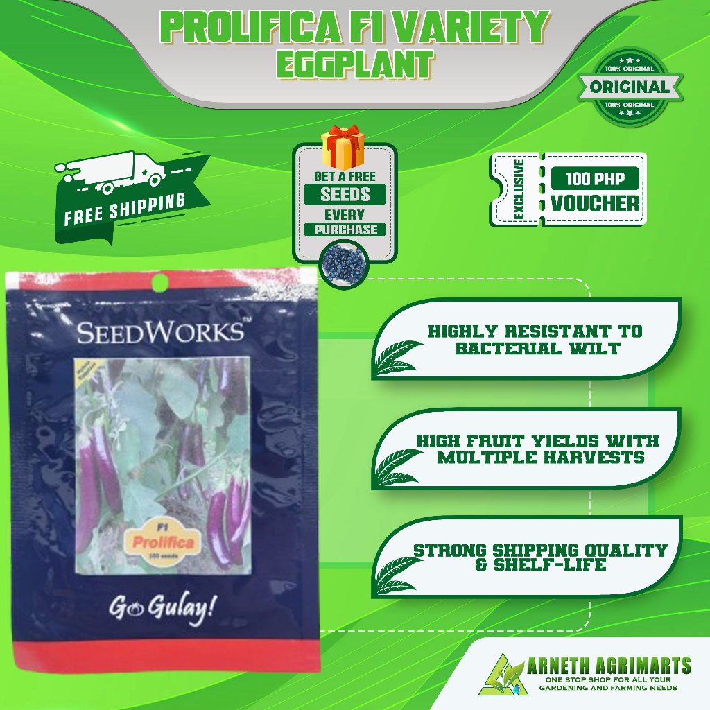 ARNETH SEEDWORKS PROLIFICA F1 VARIETY EGGPLANT / TALONG SEEDS (25g PACK ...