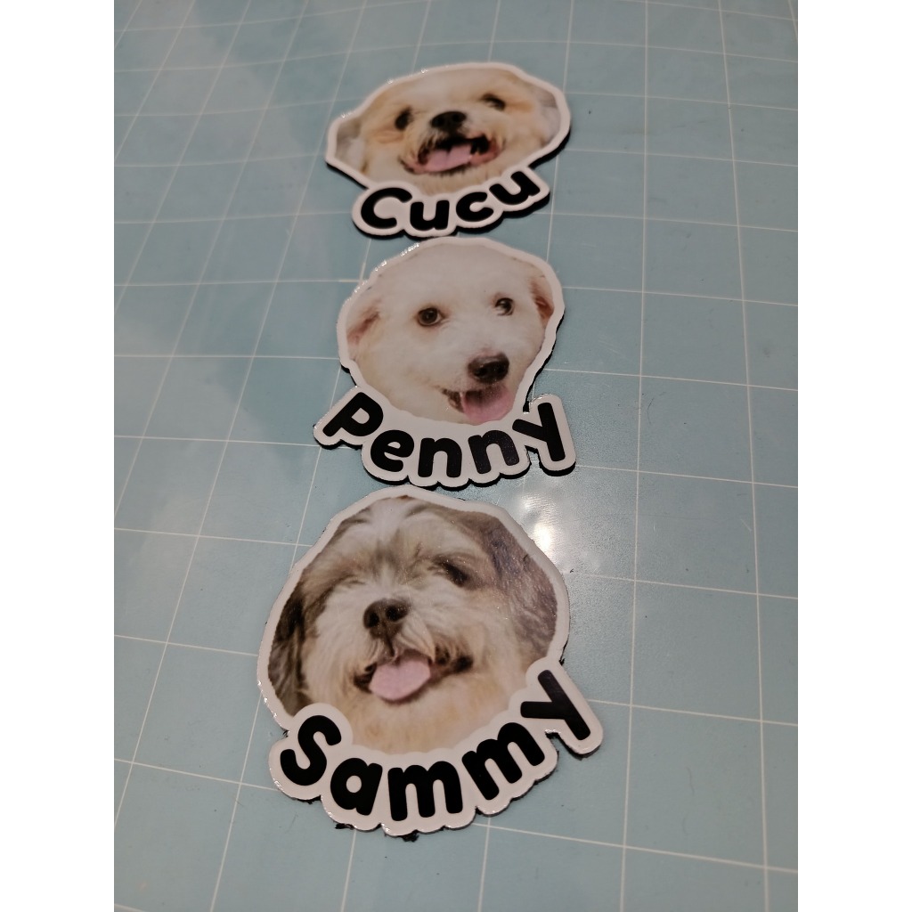 Bubblehead Ref Magnets, Pet design, dog design | Shopee Philippines