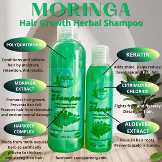 Moringa Herbal Shampoo by Pure Organic Hair Growth and Hair Thickener ...