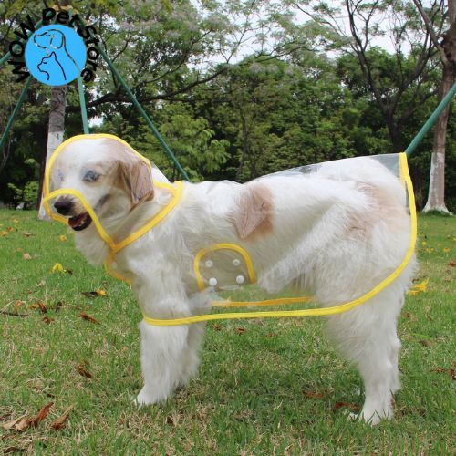 Wow pet store Pet Dog Transparent Raincoat Waterproof Raincoat Hooded ...