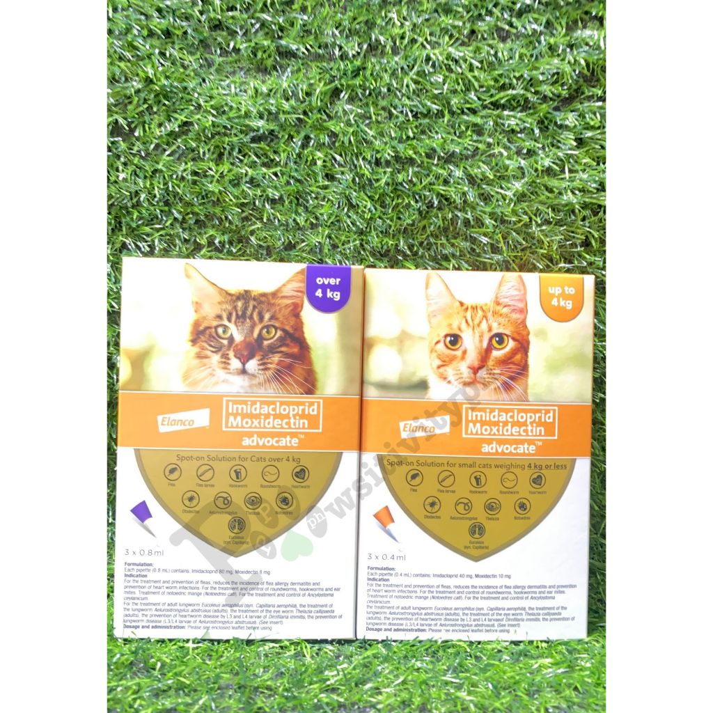 Advocate Spot on Treatment for Cats | Shopee Philippines