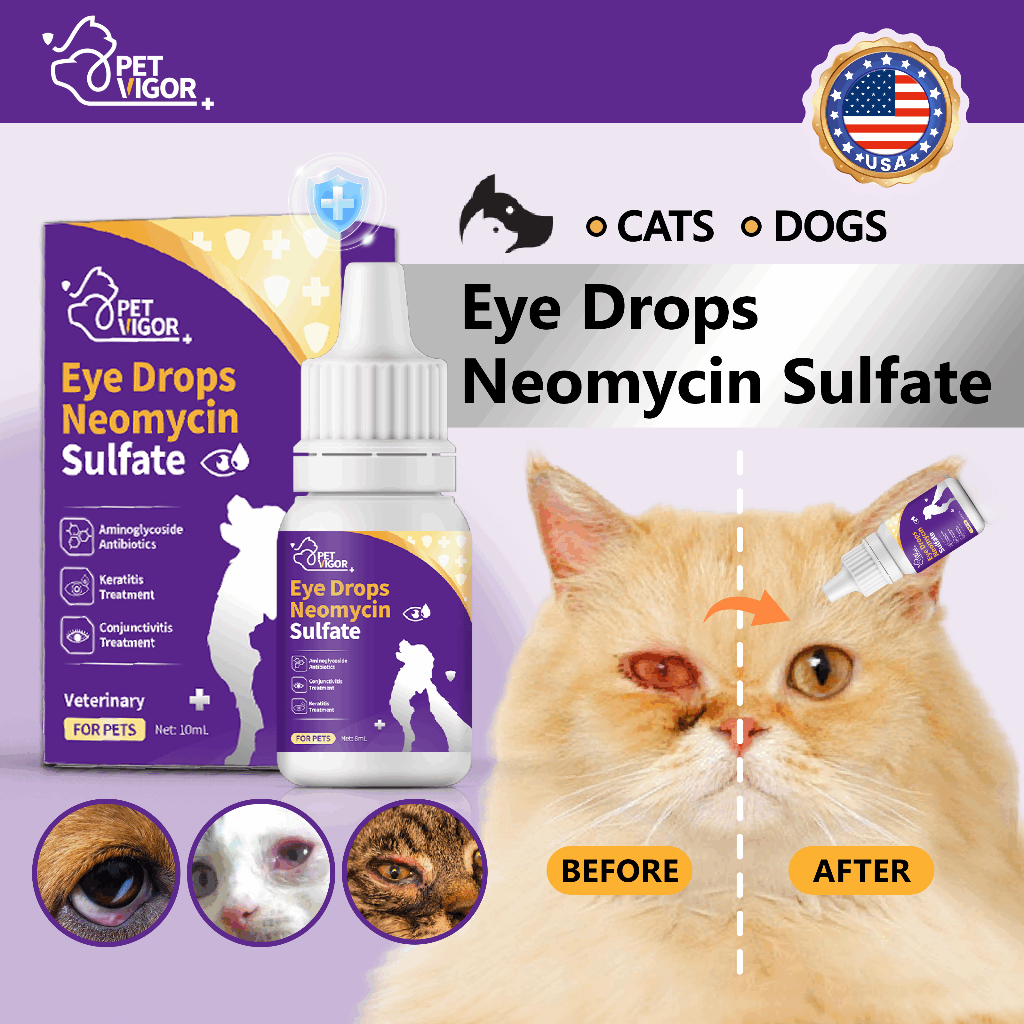 PET VIGOR Pet Neomycin Sulfate Eye Drops For Infection Cloudy Eyes Tear ...