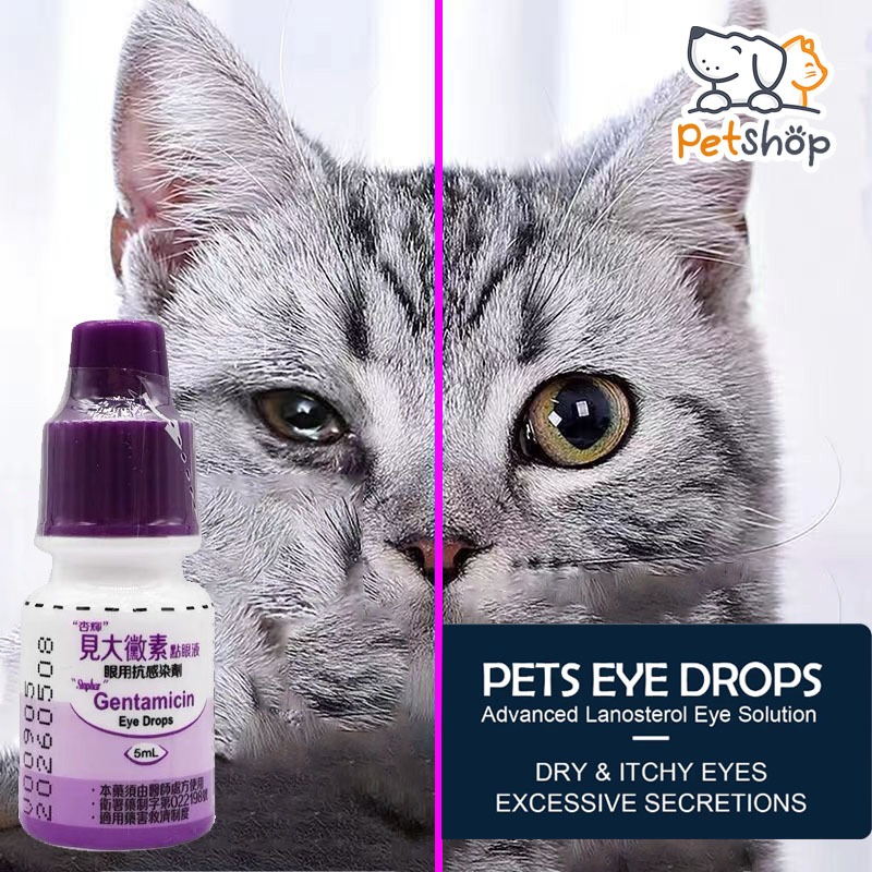 Gentamicin cat dogs Eye Drops For Infection For Dogs & Cats Eyes And ...