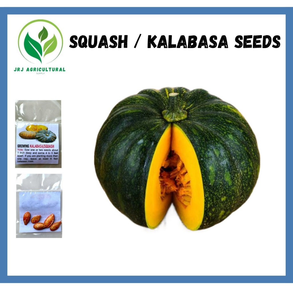 Kalabasa/Squash LAGKITAN ( 5pcs seeds ) - 1pack | Shopee Philippines