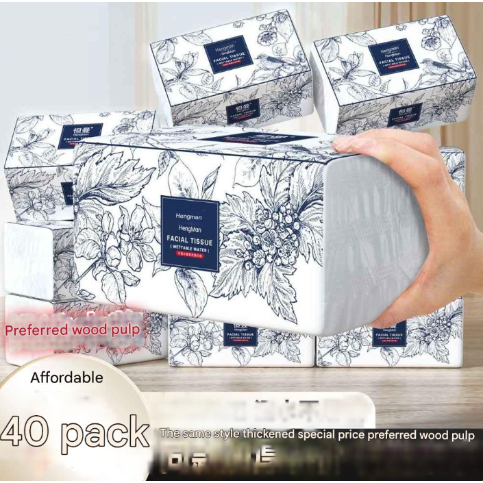 PRINCESS LIFE Quick-Dry Facial Tissues – Highly Absorbent & Wettable ...