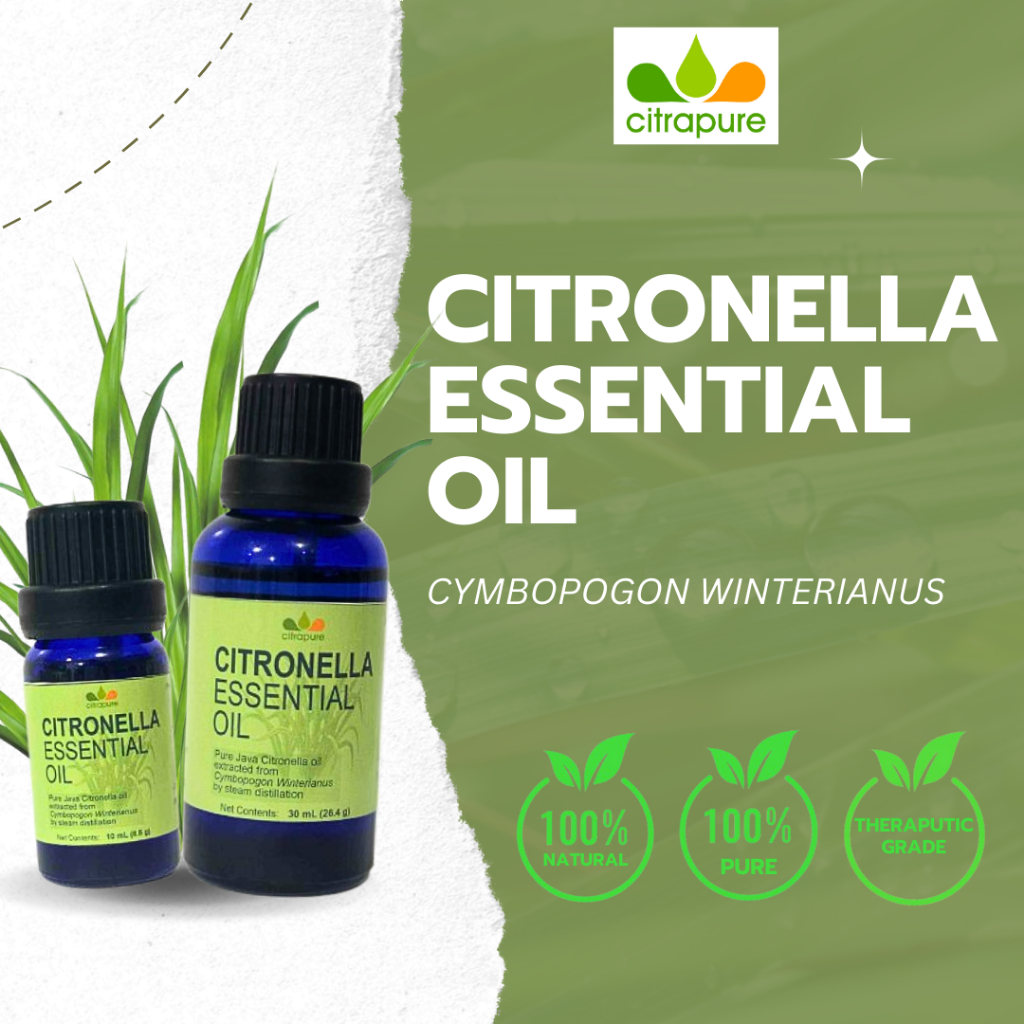 CitraPure Citronella Pure Essential Oil 10 mL, 30 mL | Shopee Philippines