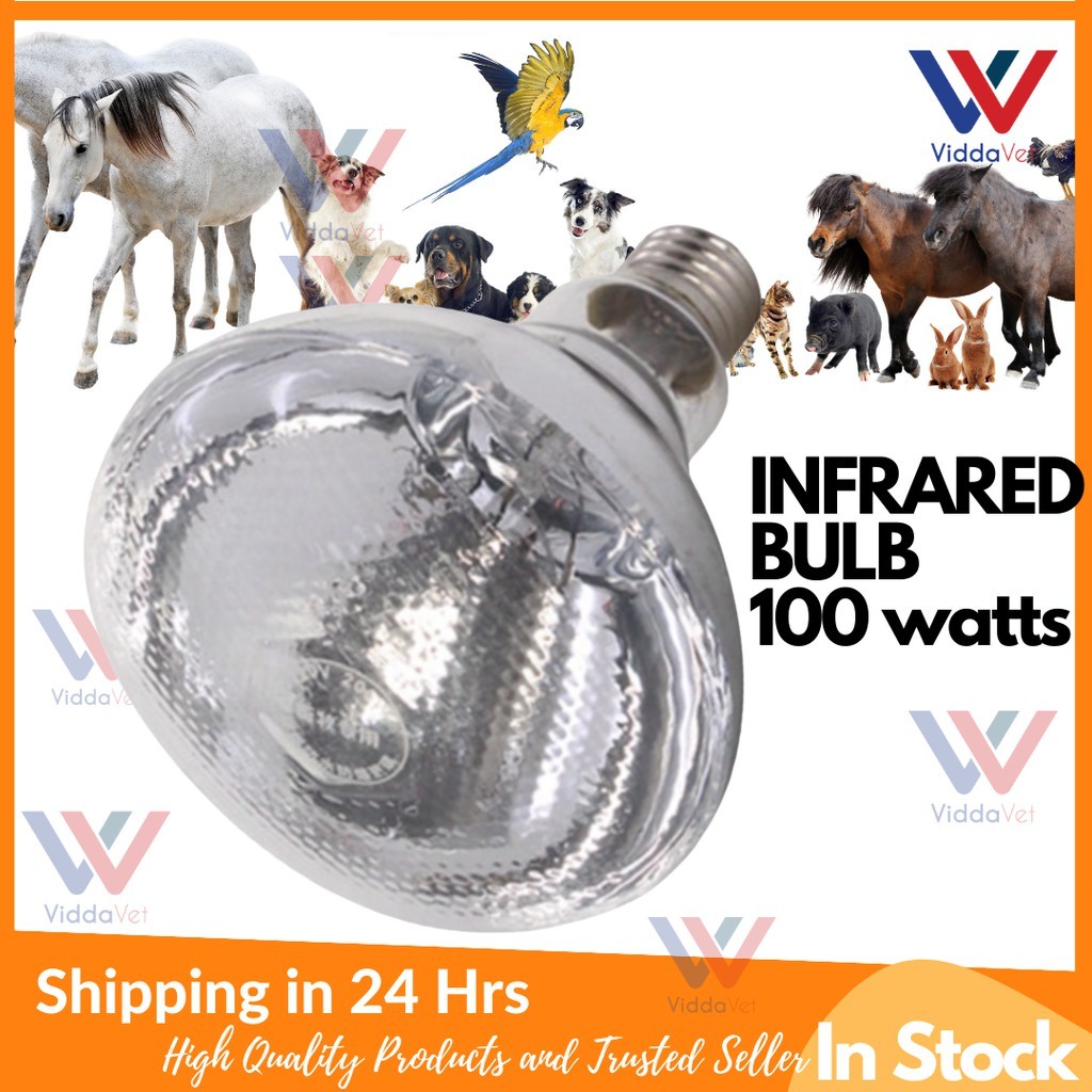 BROODER Heat LAMP Bulb 100/200 watts brooder lamp for piglet , heat ...