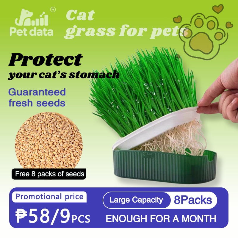 Organic Cat Grass Seeds Send 8 Packs Of Seeds Soilless Cultivation ...