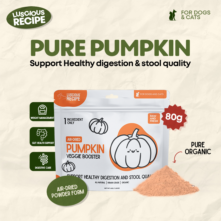 Luscious Recipe Freeze Dried Veggie Booster Pure Pumpkin Powder Food ...