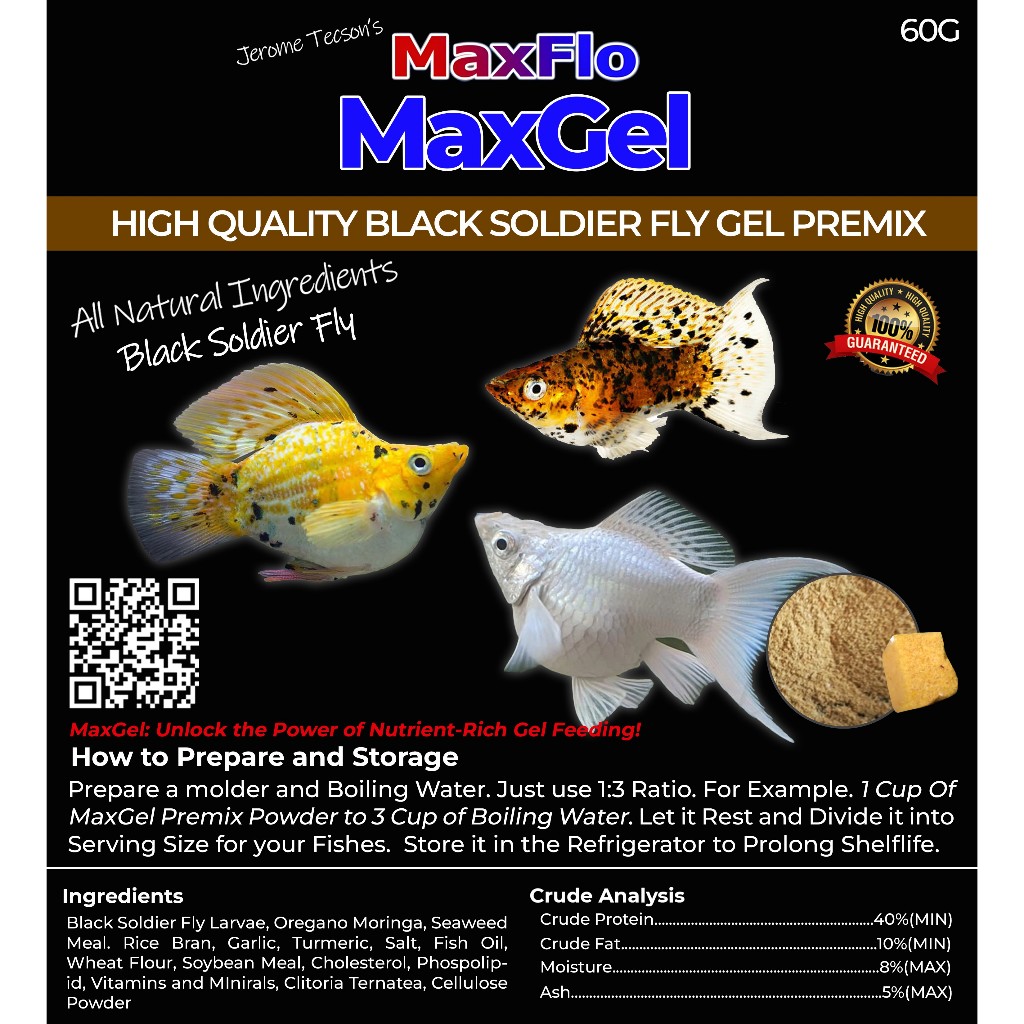 MaxGel by MaxFlo Fish Food for Molly 60grams Buy 10 + 1 FREE | Shopee ...