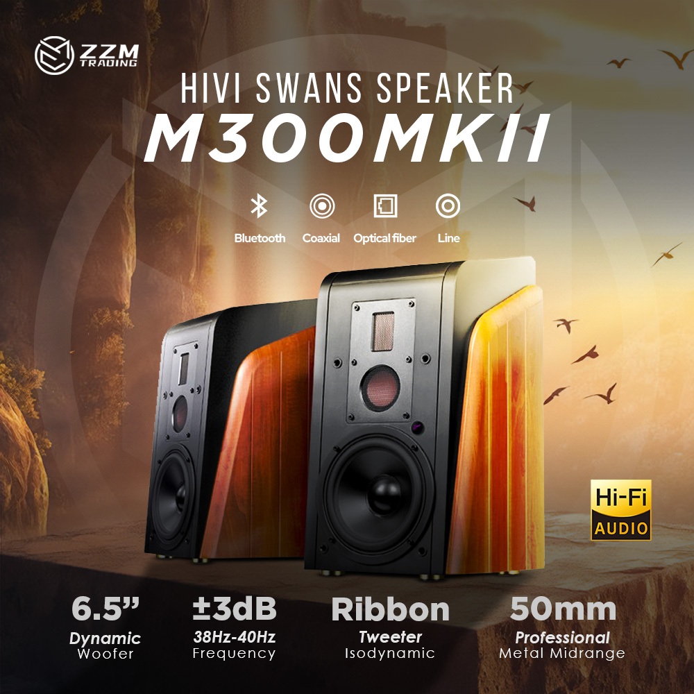 Hivi Swans Speaker M300mkii High Fidelity Active Wireless Bookshelf