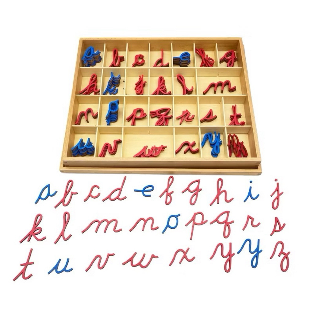 Montessori Wooden Movable Cursive Alphabet with Box Spelling Learning ...