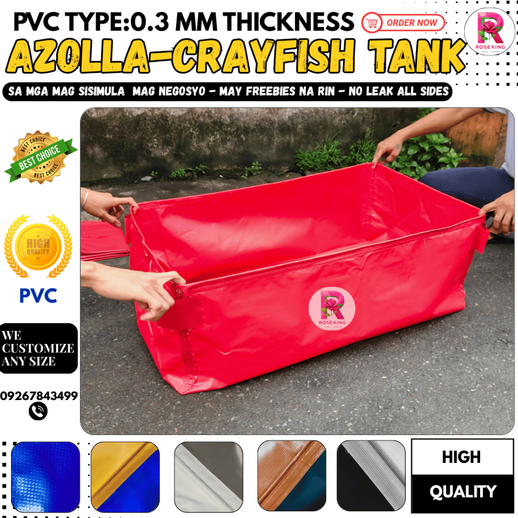 Azolla pond, crayfish pond fish tank PVC 3x2x1ft free Tali PANG UMPISA ...