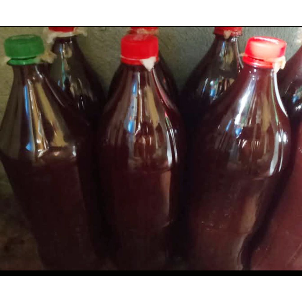 TUBA BAHALINA FROM LEYTE FOR SALE (1 Gallon) | Shopee Philippines