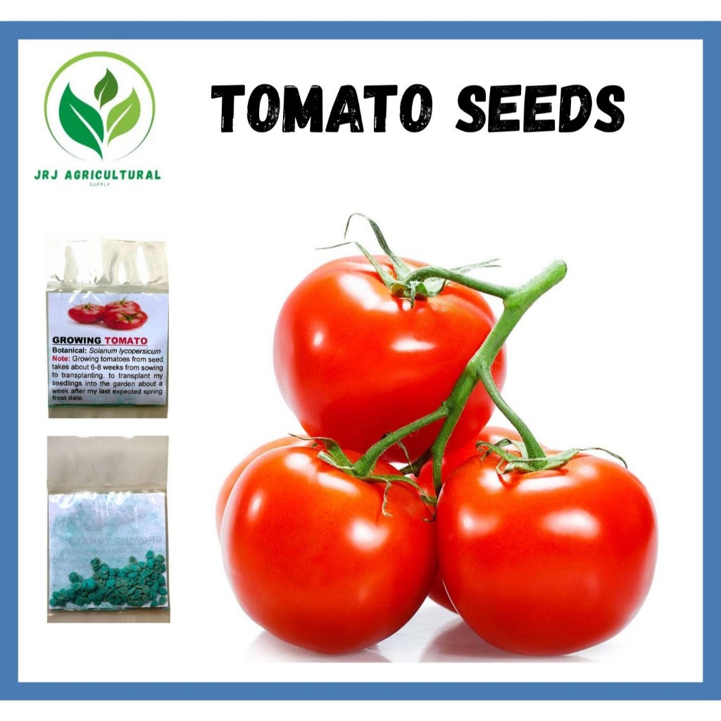 Tomato Seeds/Super Rope ( 60pcs seeds ) - 1pack | Shopee Philippines