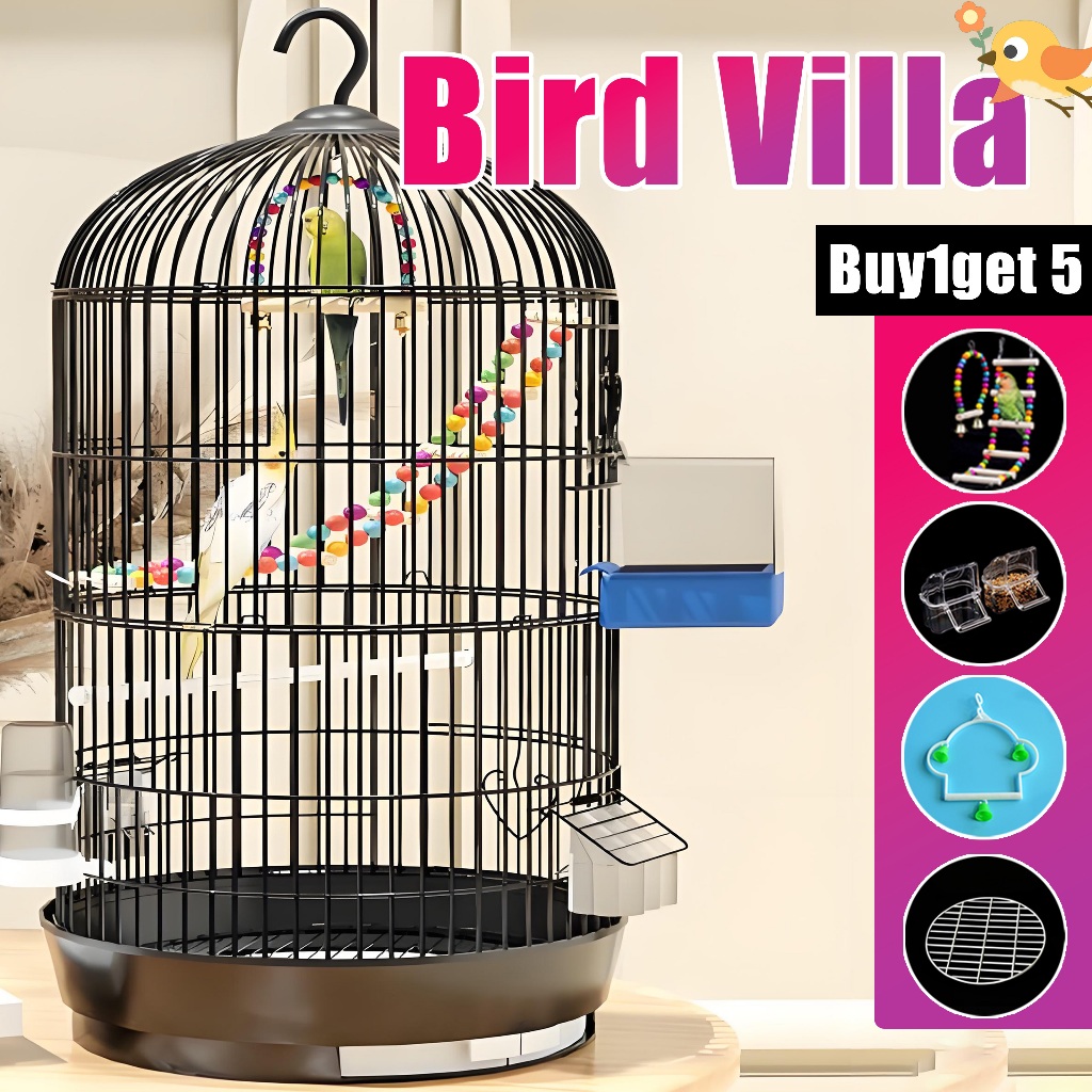 Collapsible Bird Cage/Parrot cage/Pet cage complete set with bird ...