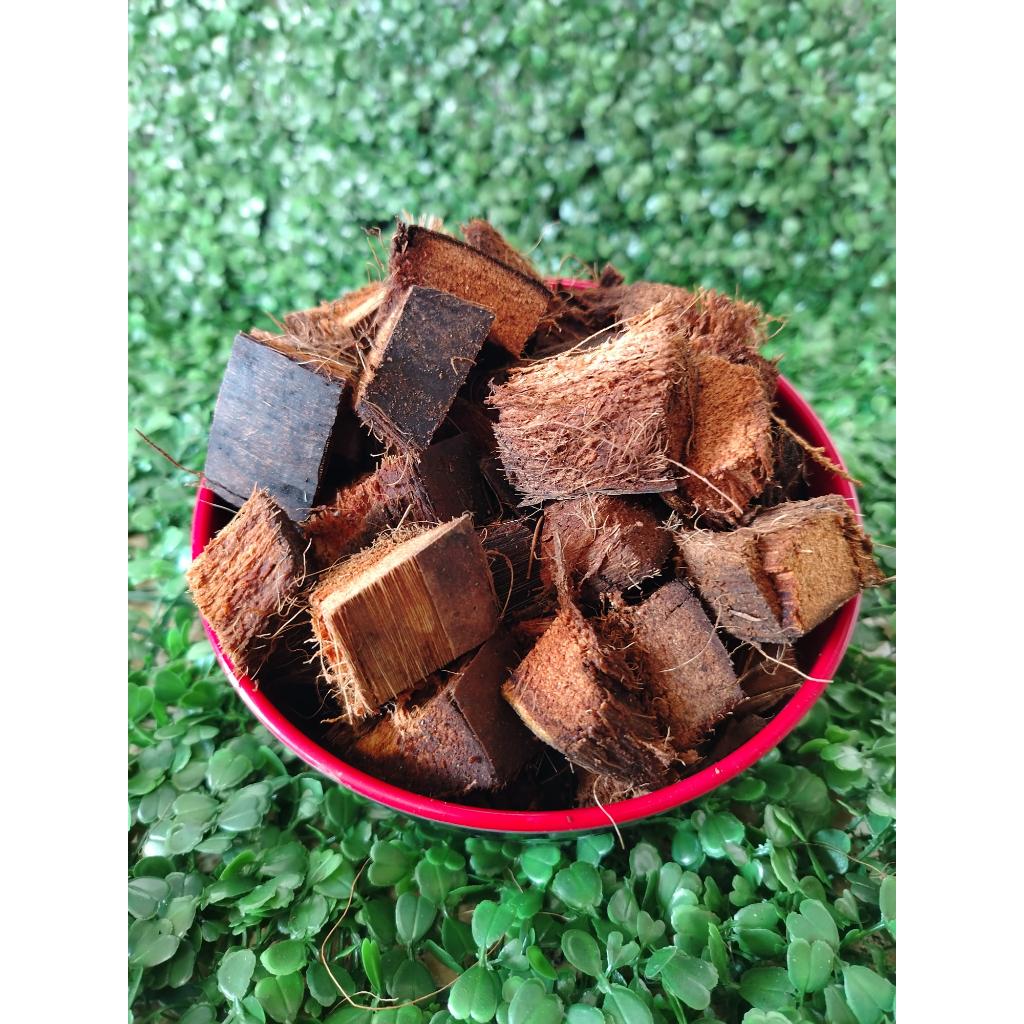 BUY 1 TAKE 1 COCO CHOPS 0.5 INCH (5 KGS) - PURE AND READY TO USE FOR ...