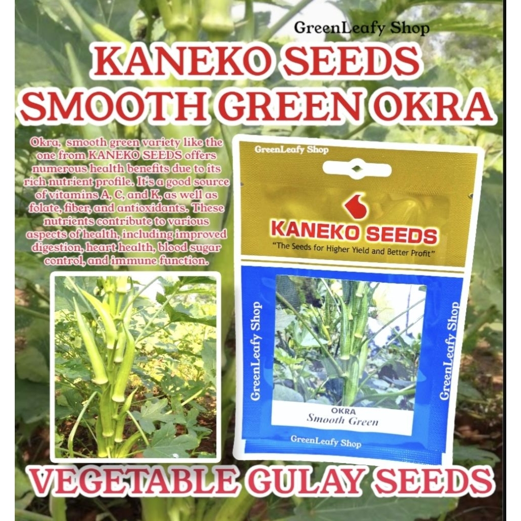 OKRA SMOOTH GREEN 10g KANEKO SEEDS VEGETABLE GULAY HOME GARDENING ...