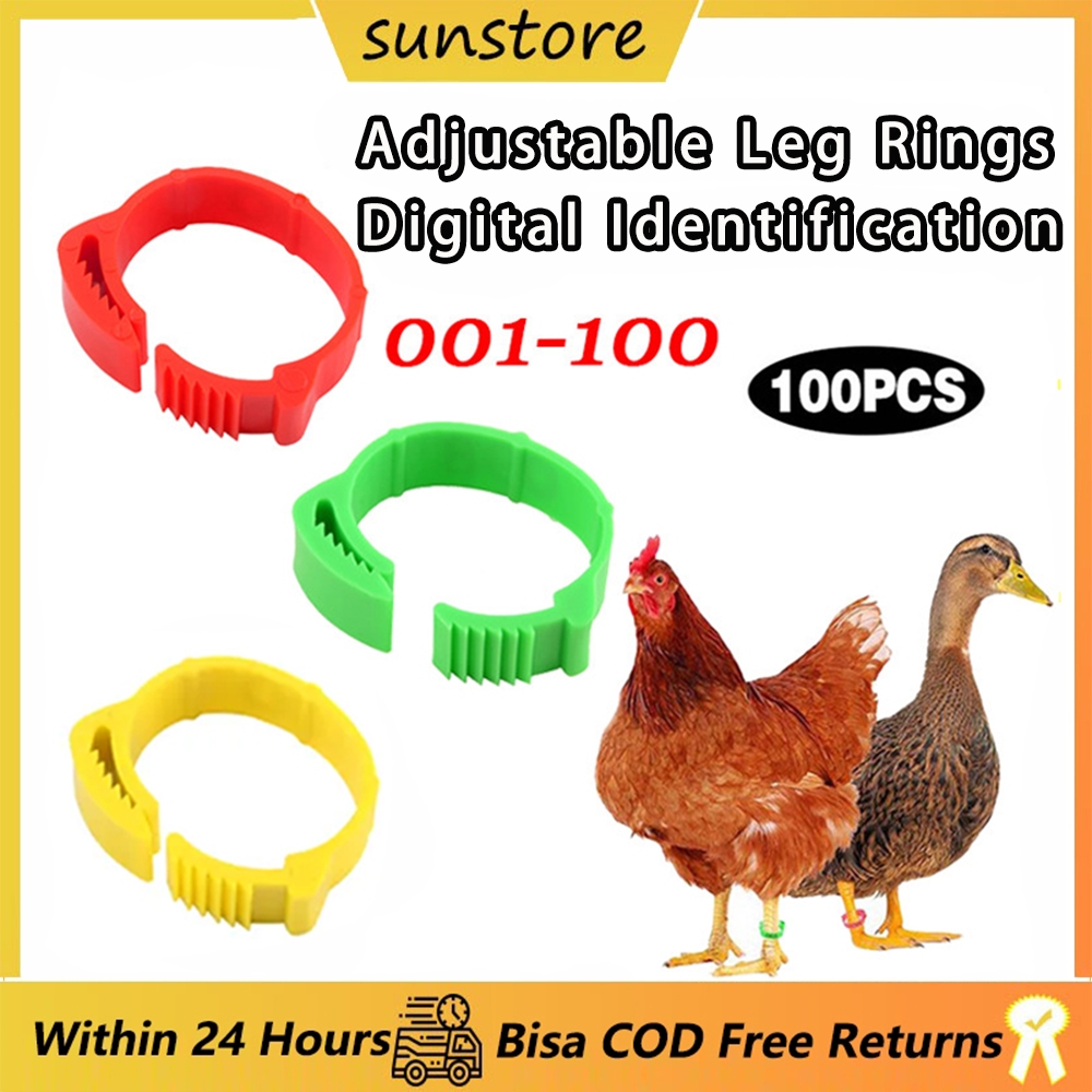 100Pcs Adjustable Chicken Leg Band Tag Identify Ring for Gamefowl Ducks ...