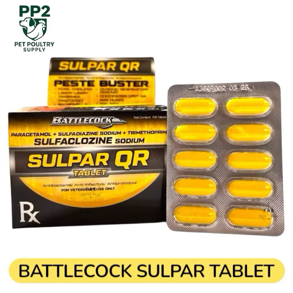 10 TABLETS- BATTLECOCK SULPAR QR TABLET | Shopee Philippines