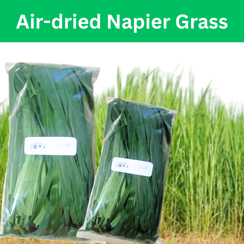 Air-Dried Napier Grass - Premium 5kg Hay Food for Rabbits, Guinea Pigs ...
