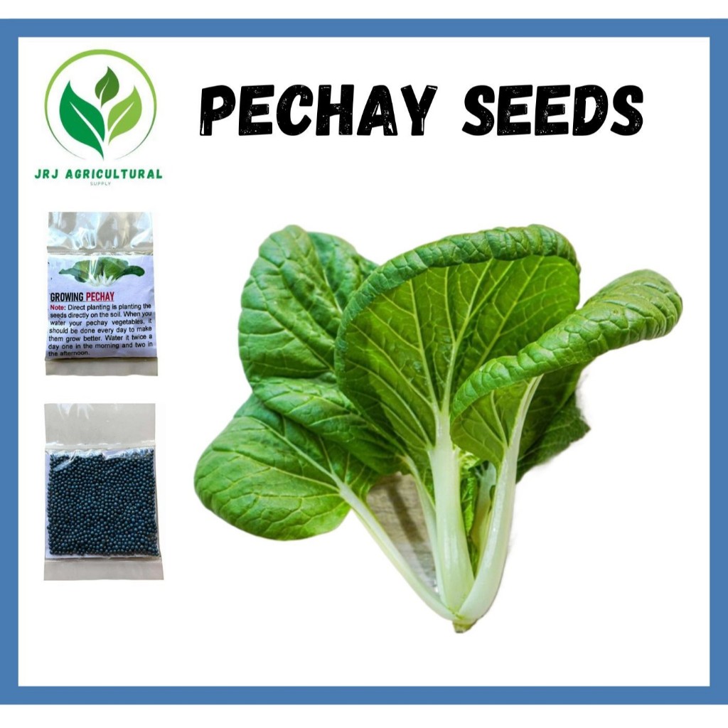 Pechay Pavito Seeds ( 1000pcs Seeds ) - 1pack | Shopee Philippines