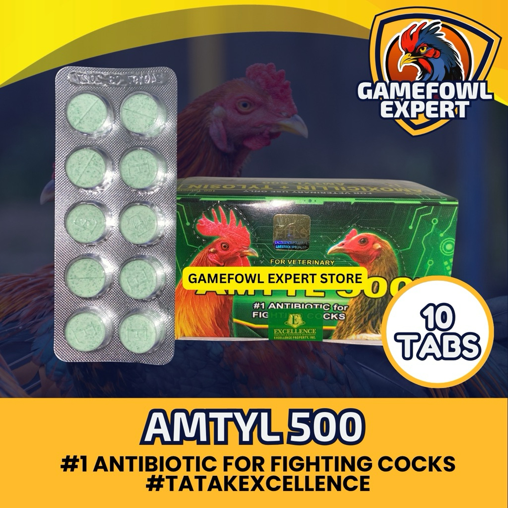 1 BANIG - AMTYL 500 10tablets (Medication for Gamefowls) | Shopee ...