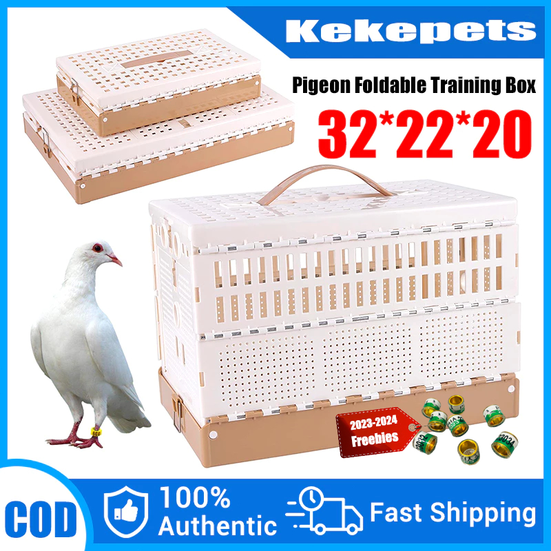 Taiwan Plastic Pigeon Training Box Medium Tbox for Pigeon Bird Cage ...