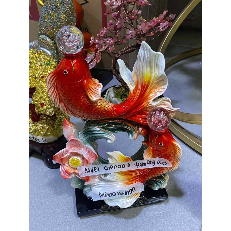Shop koi fish for Sale on Shopee Philippines
