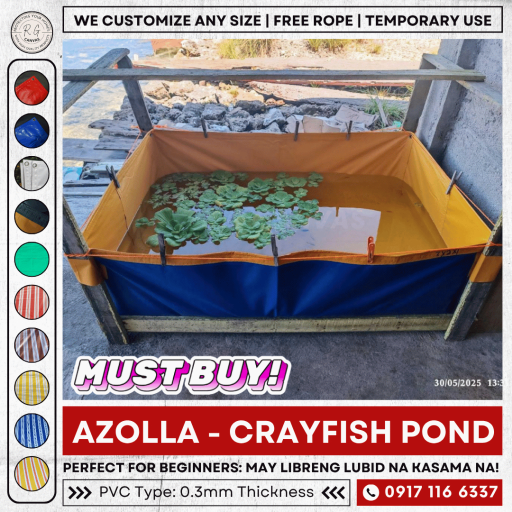 3x12x1ft TRAPOND FISH POND KOI ANC AZOLLA BED TWO-TONED COLOR LONA ...