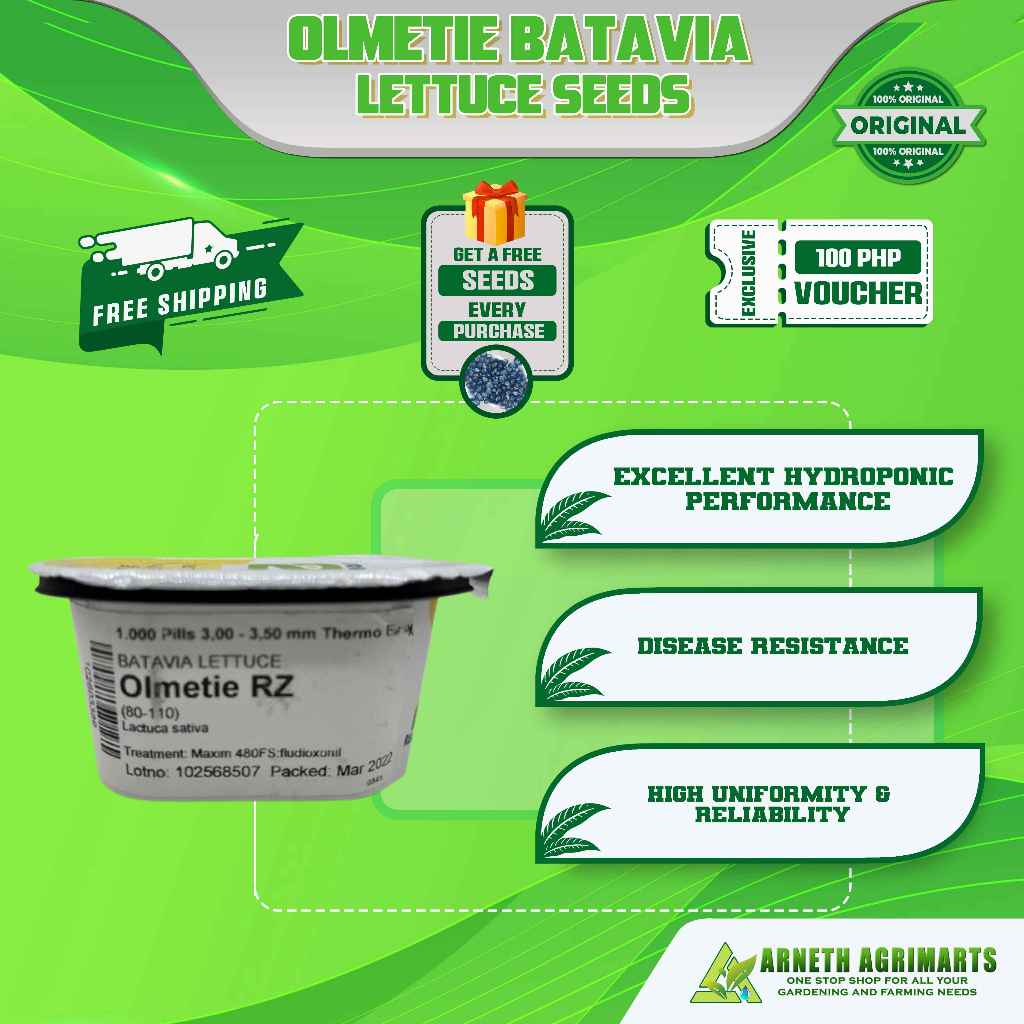 ARNETH OLMETIE / LIMAMBO BATAVIA LETTUCE SEEDS BY RIJIK ZWAAN ( 1000 ...