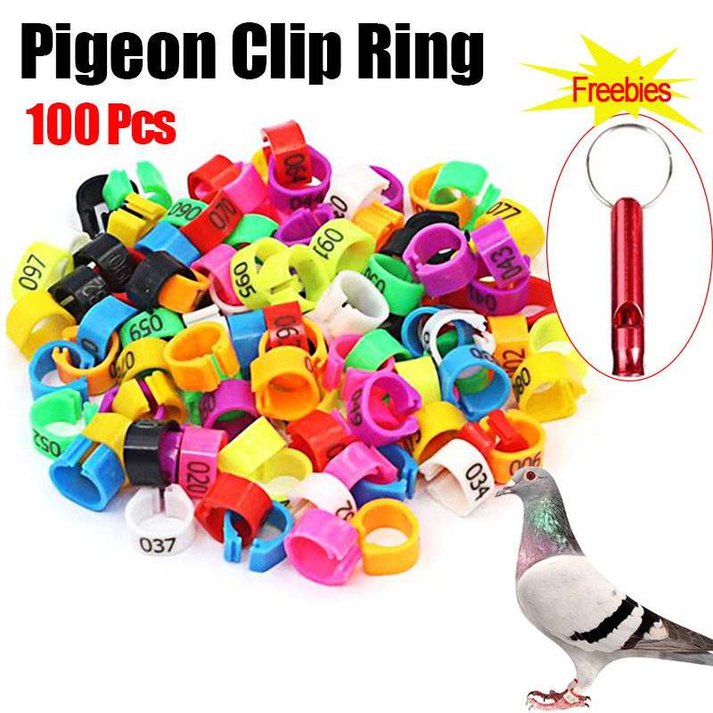 Pigeon Clip Ring with whistle 8mm Plastic ring with numeric numbers ...