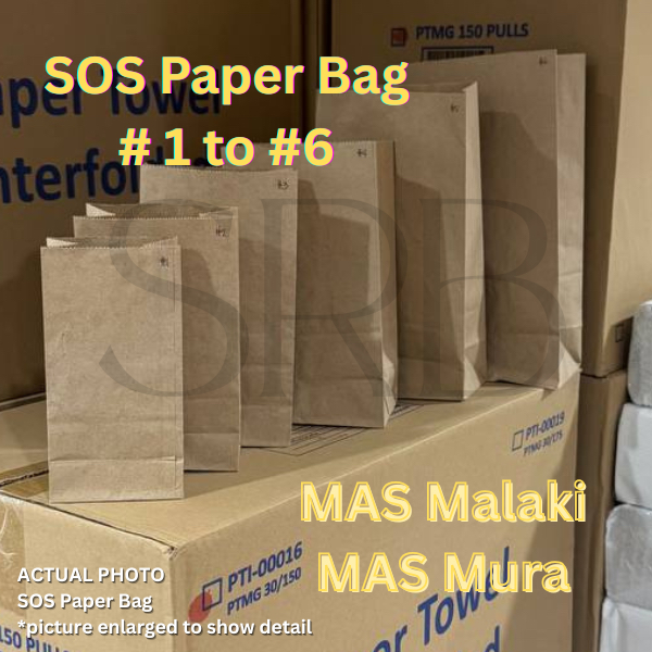 SRB 50-Pack Brown Kraft Paper Bags with Sturdy Square Bottom for Easy ...
