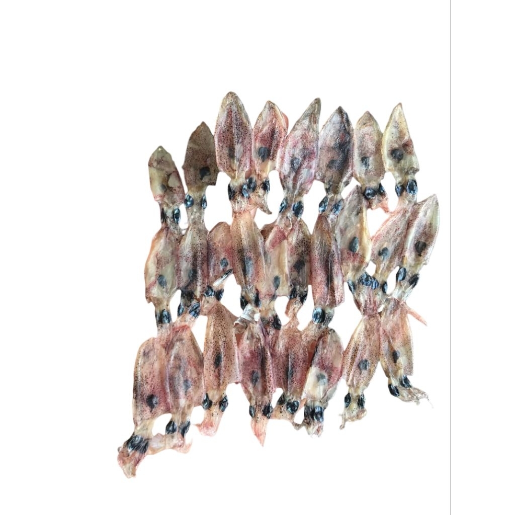 Dried Pusit & Baby Pusit from Estancia, Iloilo - 100g, Premium Quality ...