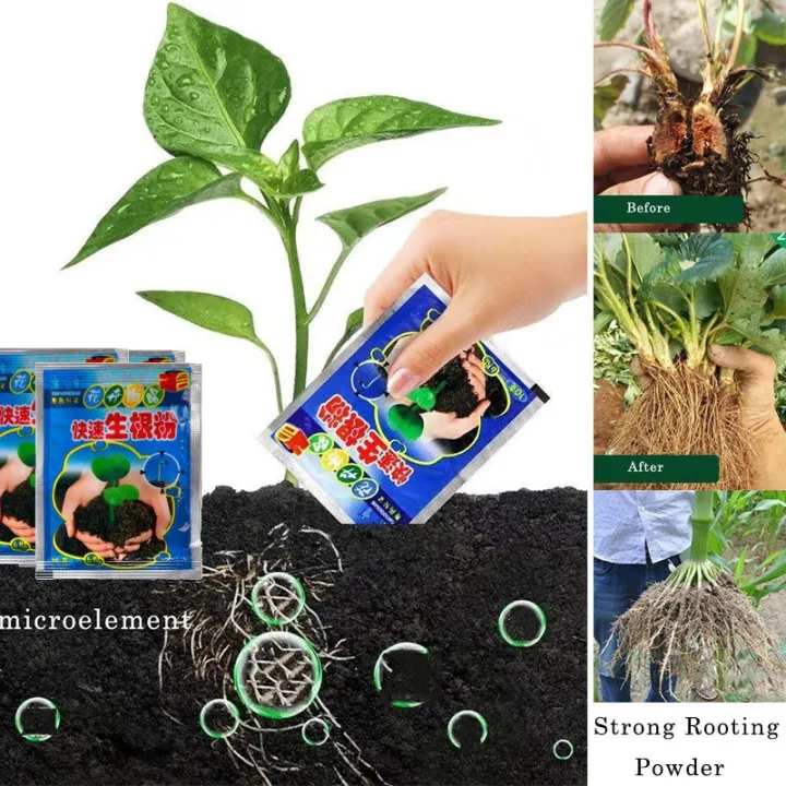 1pcs Rapid Rooting Powder Plant Rooting Hormone Plant Growth Powder All ...