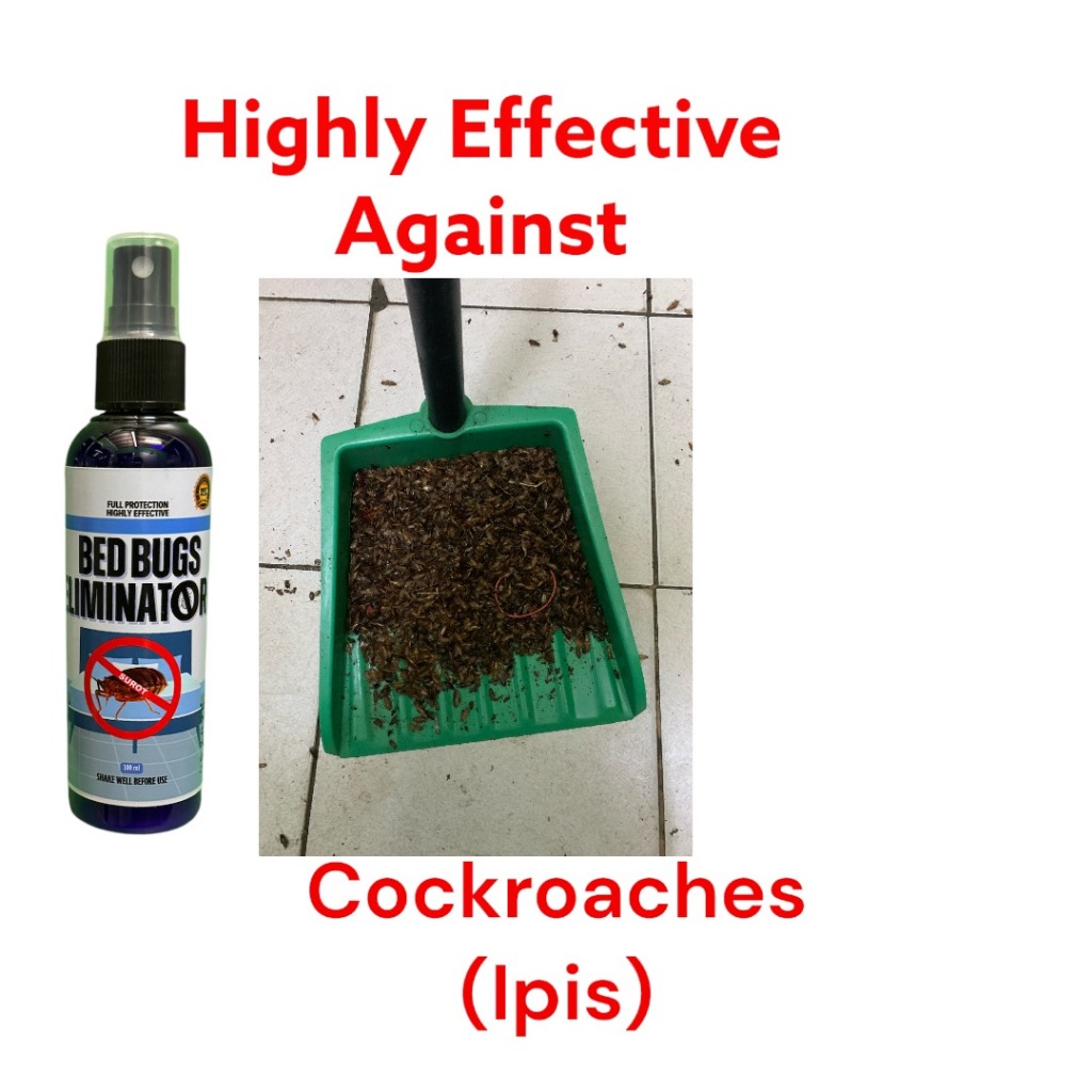 BED BUGS SUROT KILLER DUST MITES REMOVER ODORLESS MABISANG PAMATAY ...